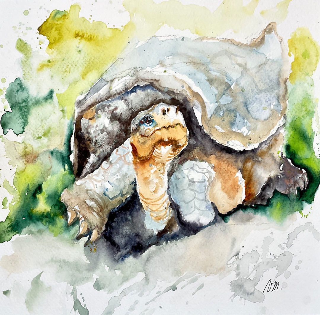 Painting of a Giant Land Turtle From the Galapagos Islands, Original ...