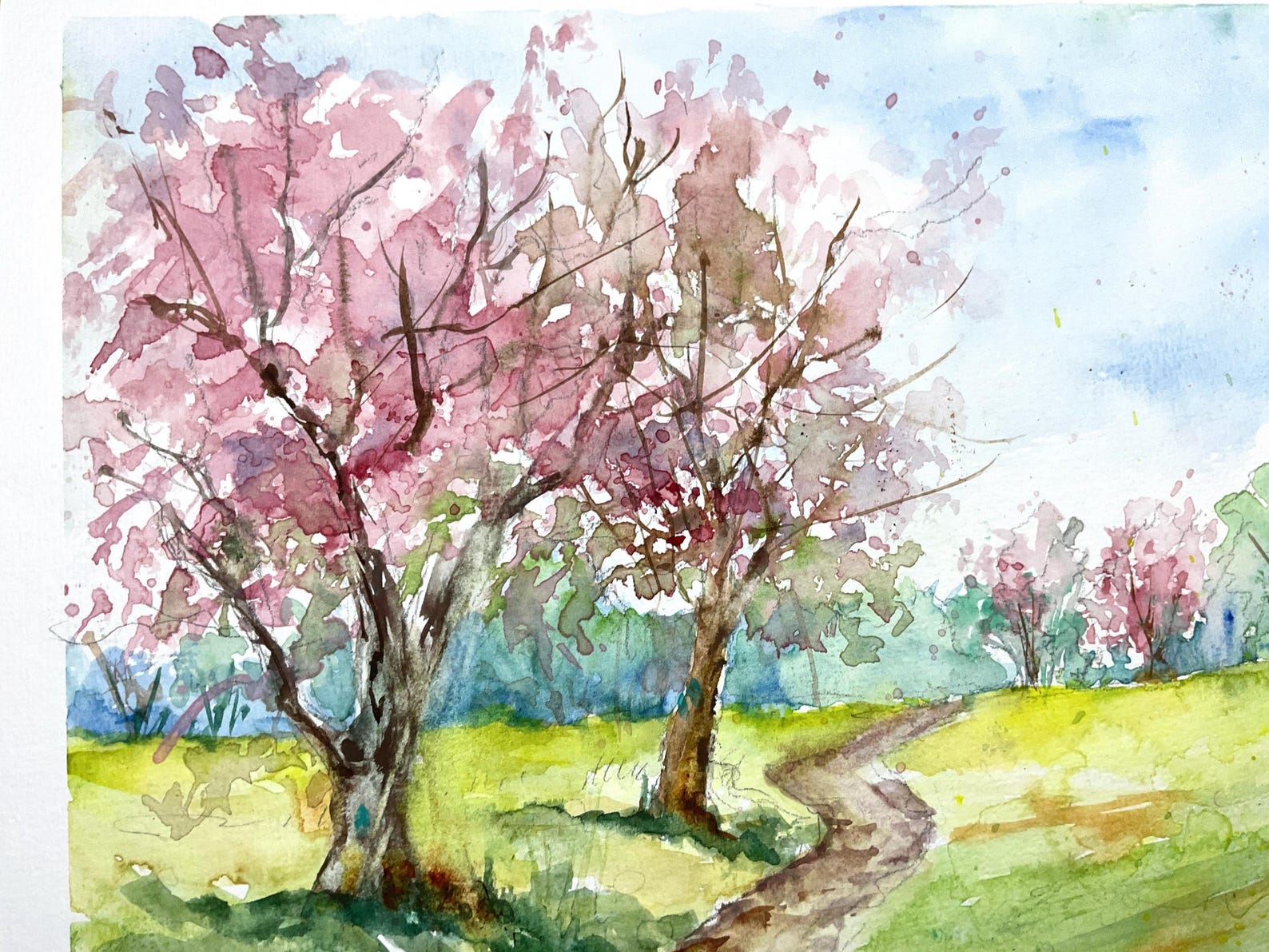 Watercolor of Pink Blossoming Apple Trees, Nature Landscape in Spring ...