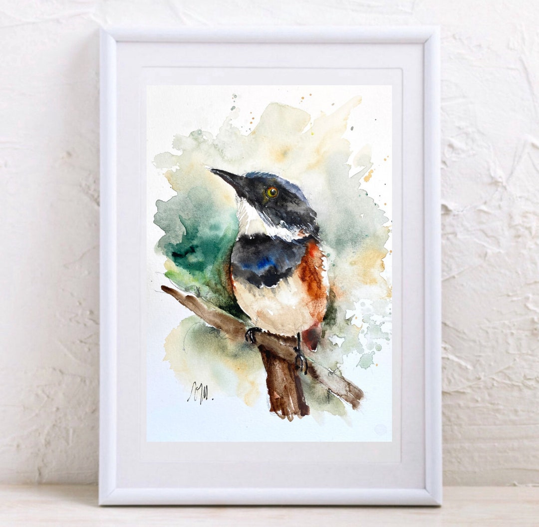 Bird Painting in Original Watercolor: the Cape Batis, Exotic Bird ...