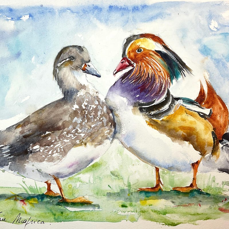 Mandarin Duck Art - Etsy