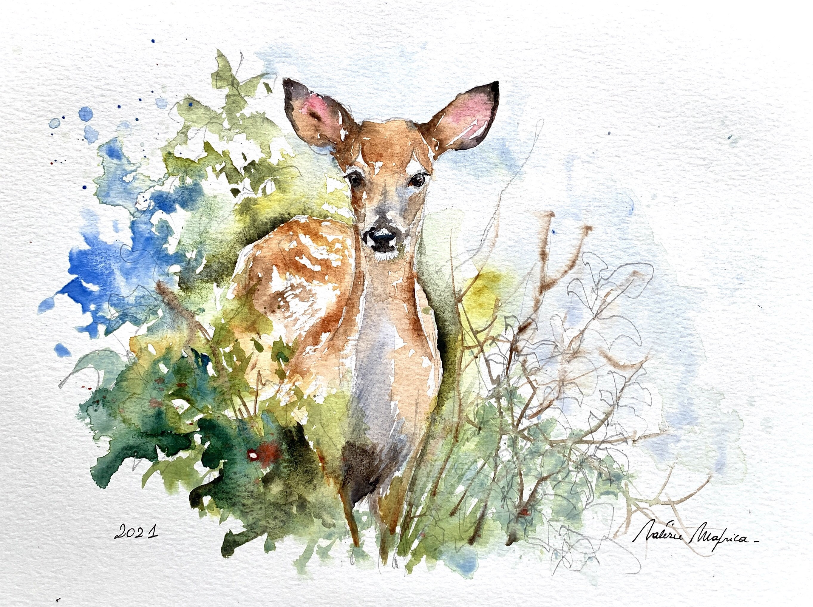 Doe Watercolor