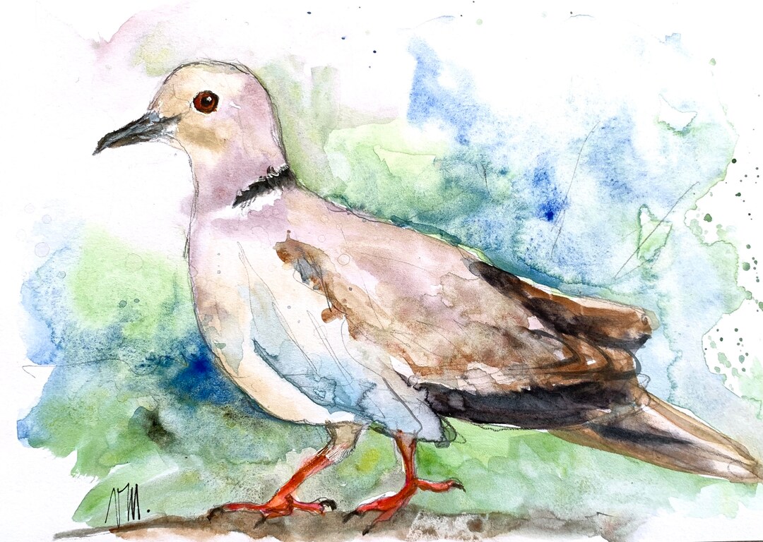 Dove Painting in Original Watercolor, Decorative Wall Painting of ...