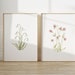 Snowdrops Print Flower Print Floral Wall Art - Etsy