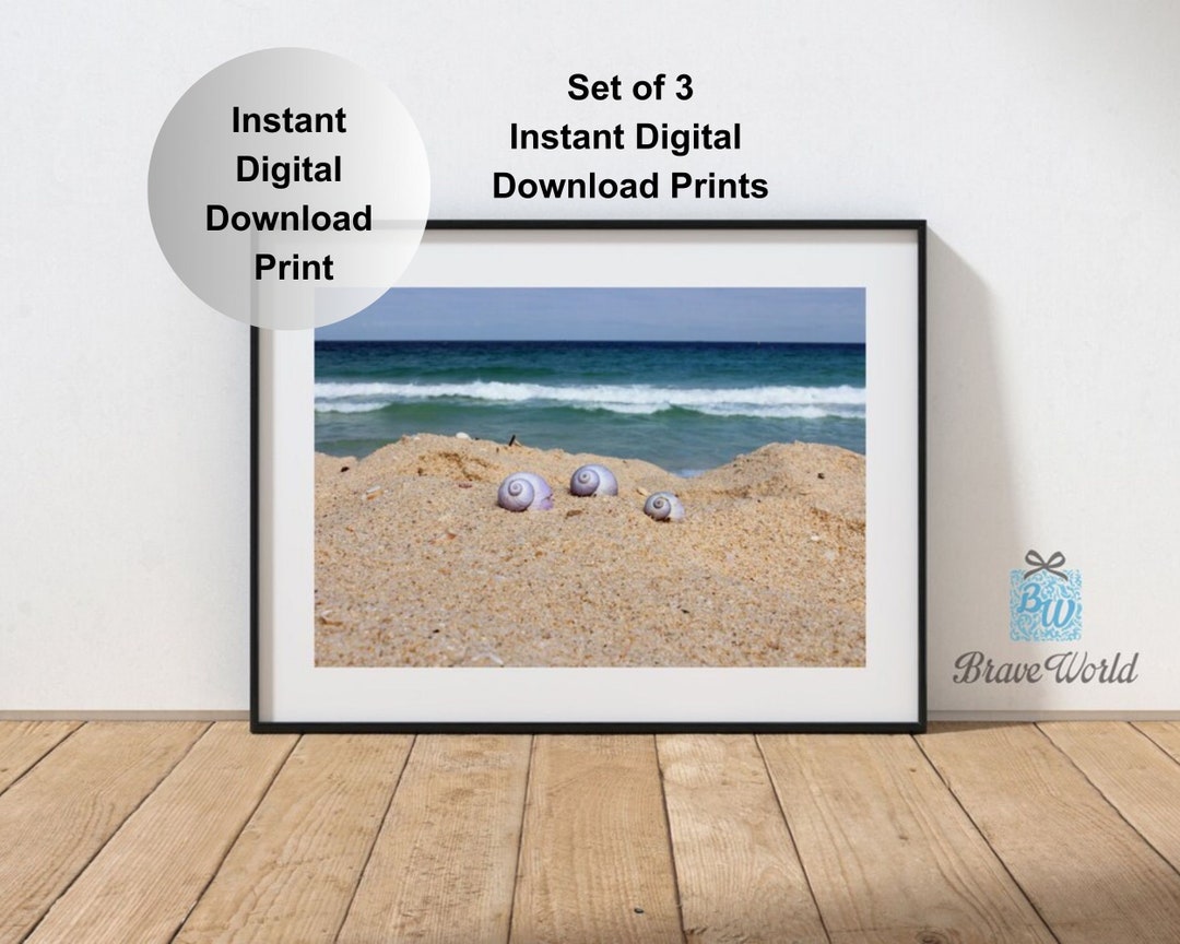 Violet Sea Snail Instant Digital Download Print, Janthina Janthina, Set ...