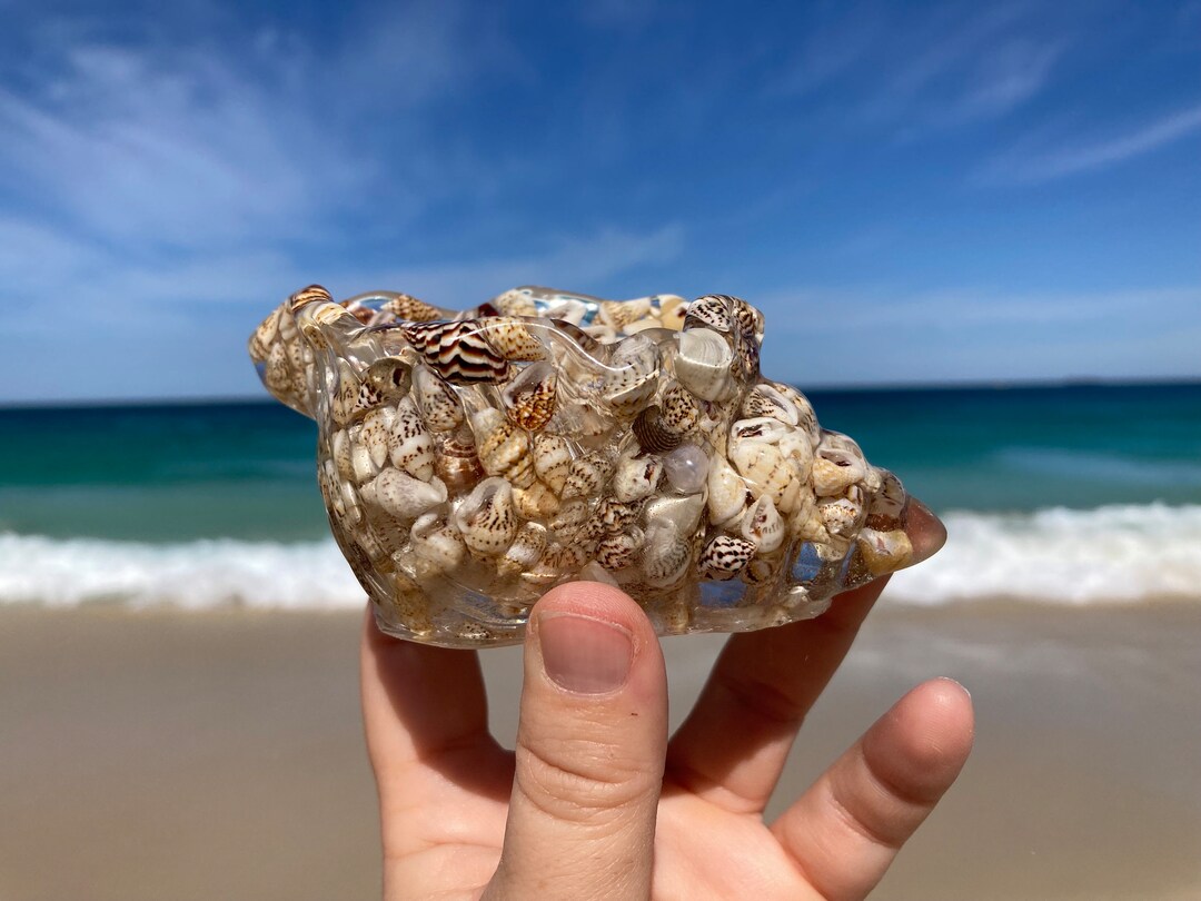 Resin Shell With Tiny Seashells and Pearl Beads, Home Decor, Resin ...