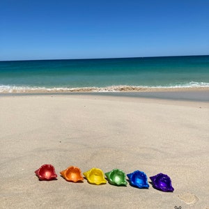 Resin Conch Shell Rainbow Colours, Beach Decor, Resin Art, Seashells ...