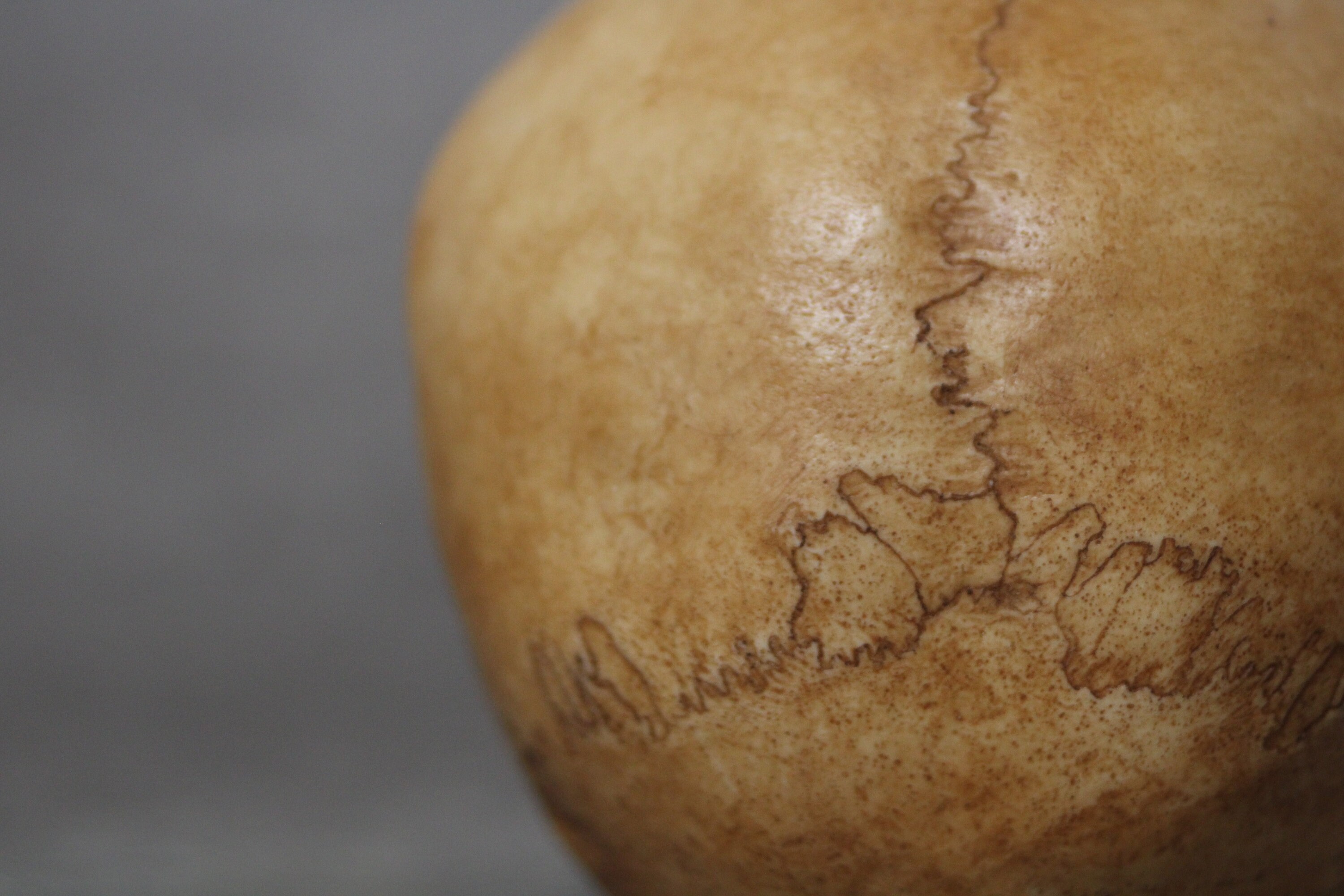 Human Skull Child Ultra Realistic Replica Anatomy Curiosity - Etsy ...