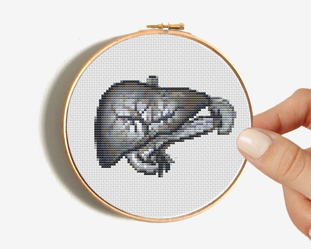 Mini Anatomy Cross Stitch Pattern, Human Liver, Human Organ Hand ...