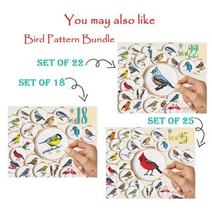Set of 15 Mini Bird Cross Stitch Patterns PDF, Tiny Songbirds, Mini ...