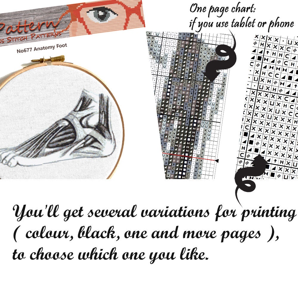 Anatomy Cross Stitch Pattern Foot Cross Stitch Funny Counted | Etsy