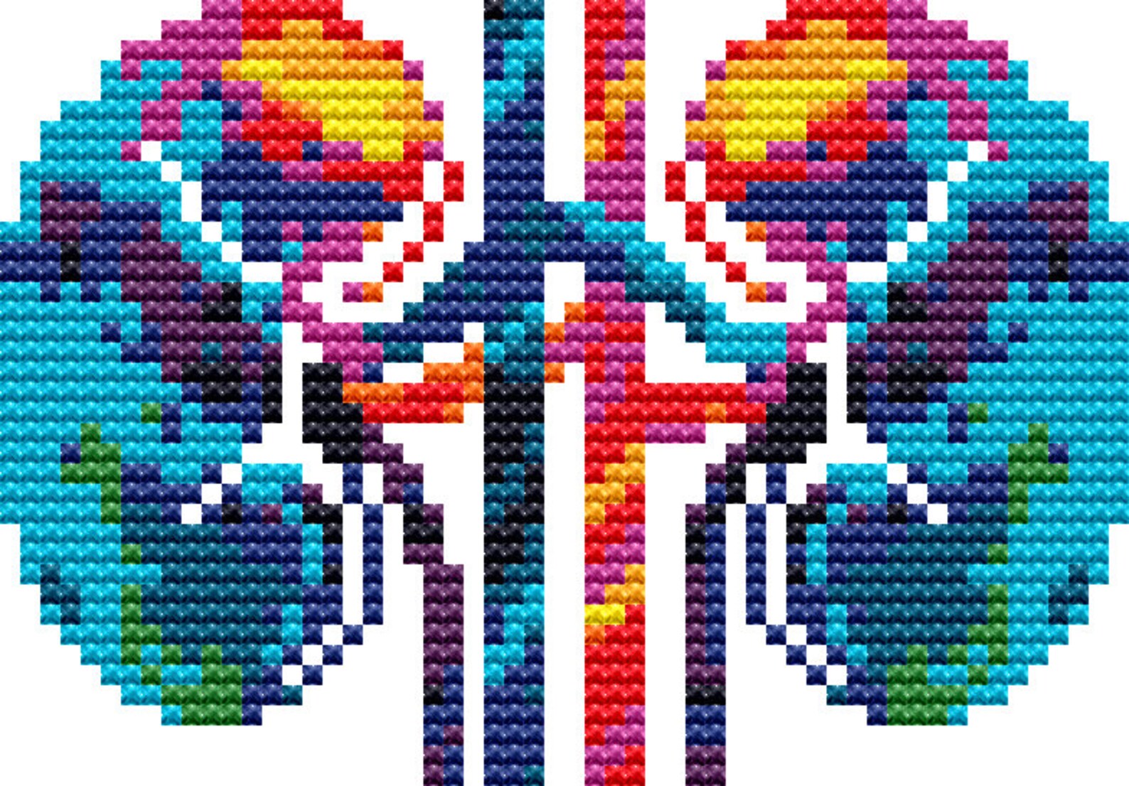 Kidney Mini Cross Stitch Pattern, Anatomy X-stitch Chart, Human Body ...