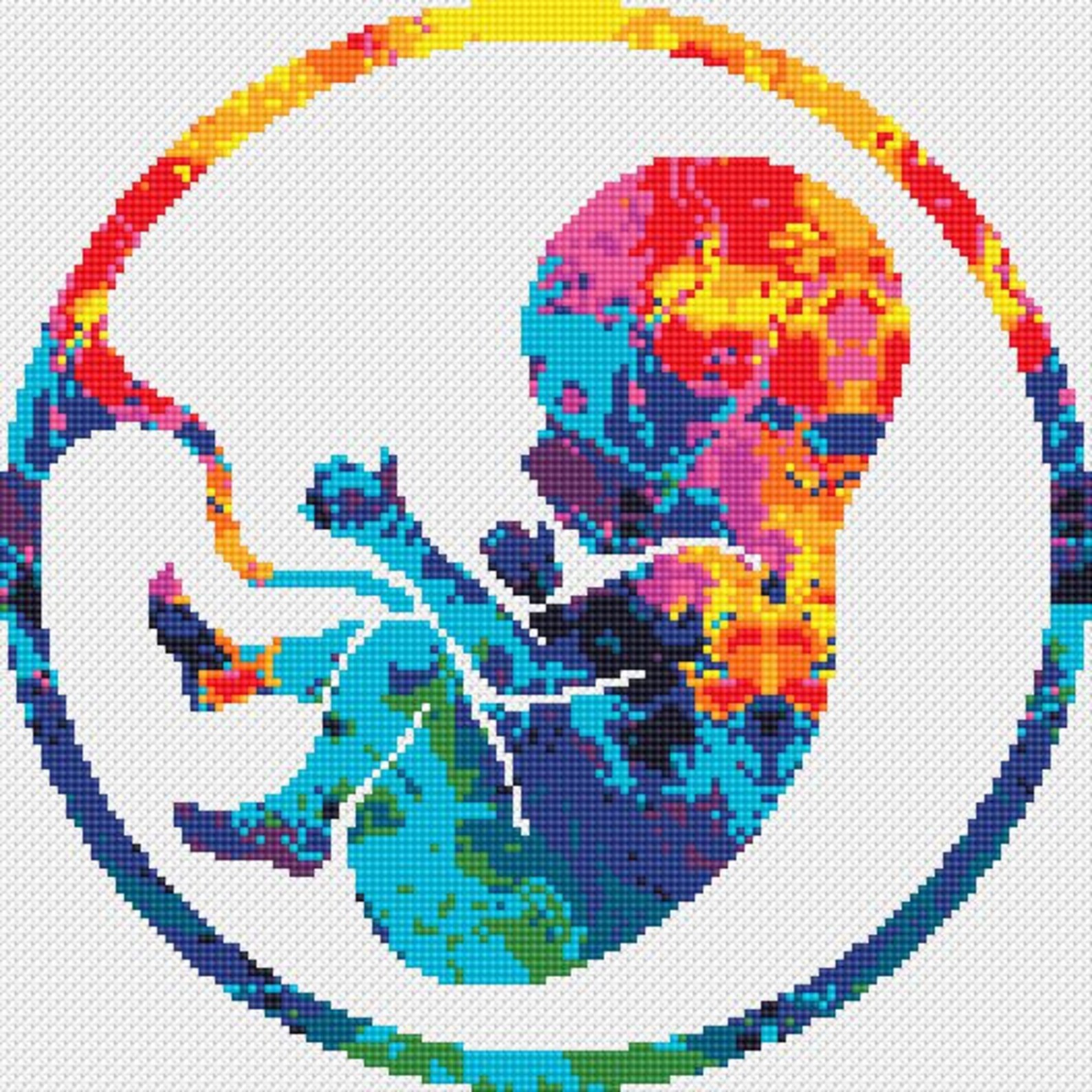 Embryo Cross Stitch Pattern Anatomy Cross Stitch Female - Etsy