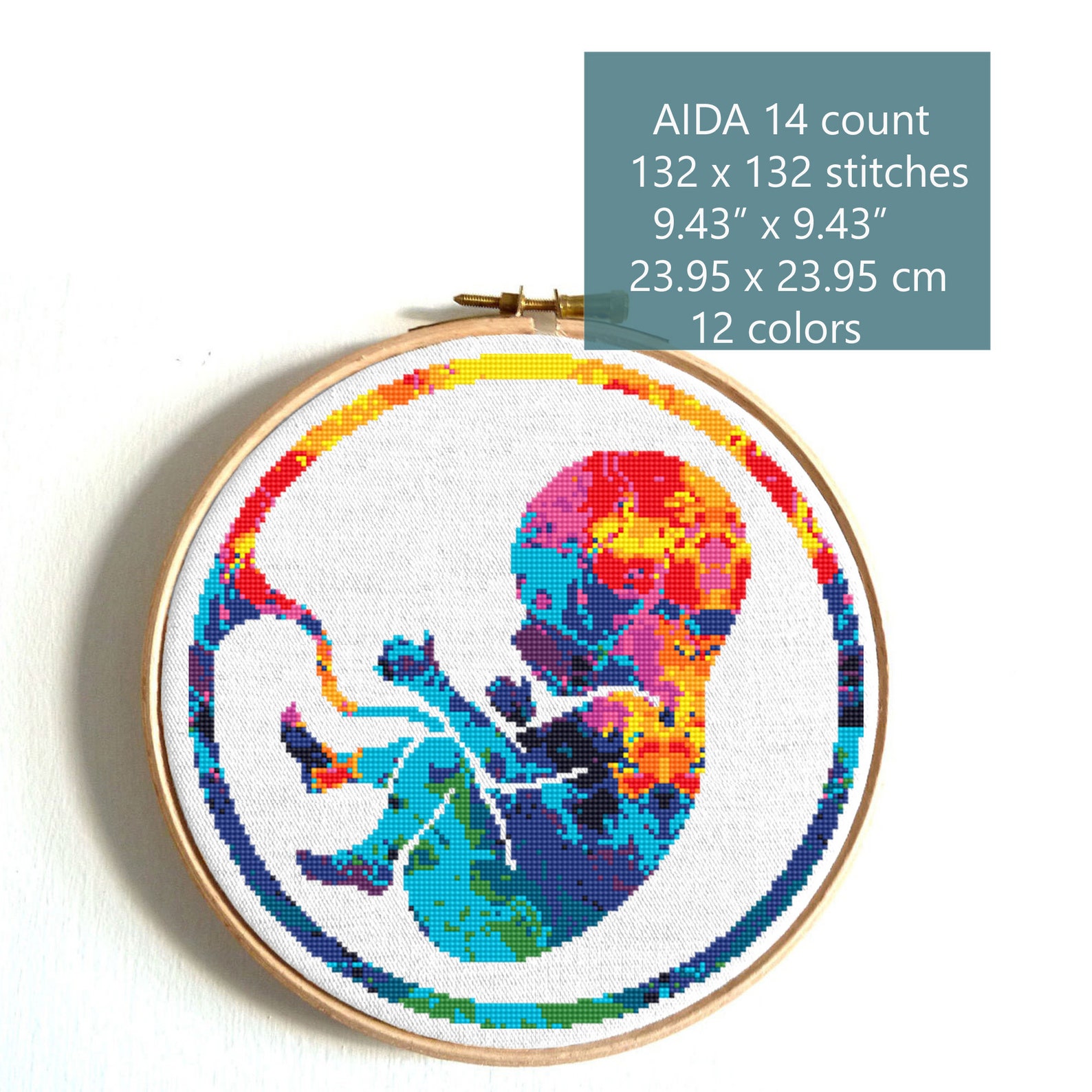 Embryo Cross Stitch Pattern Anatomy Cross Stitch Female - Etsy