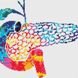 Anatomy Cross Stitch Pattern, Pancreas Embroidery Design, Modern Hoop ...