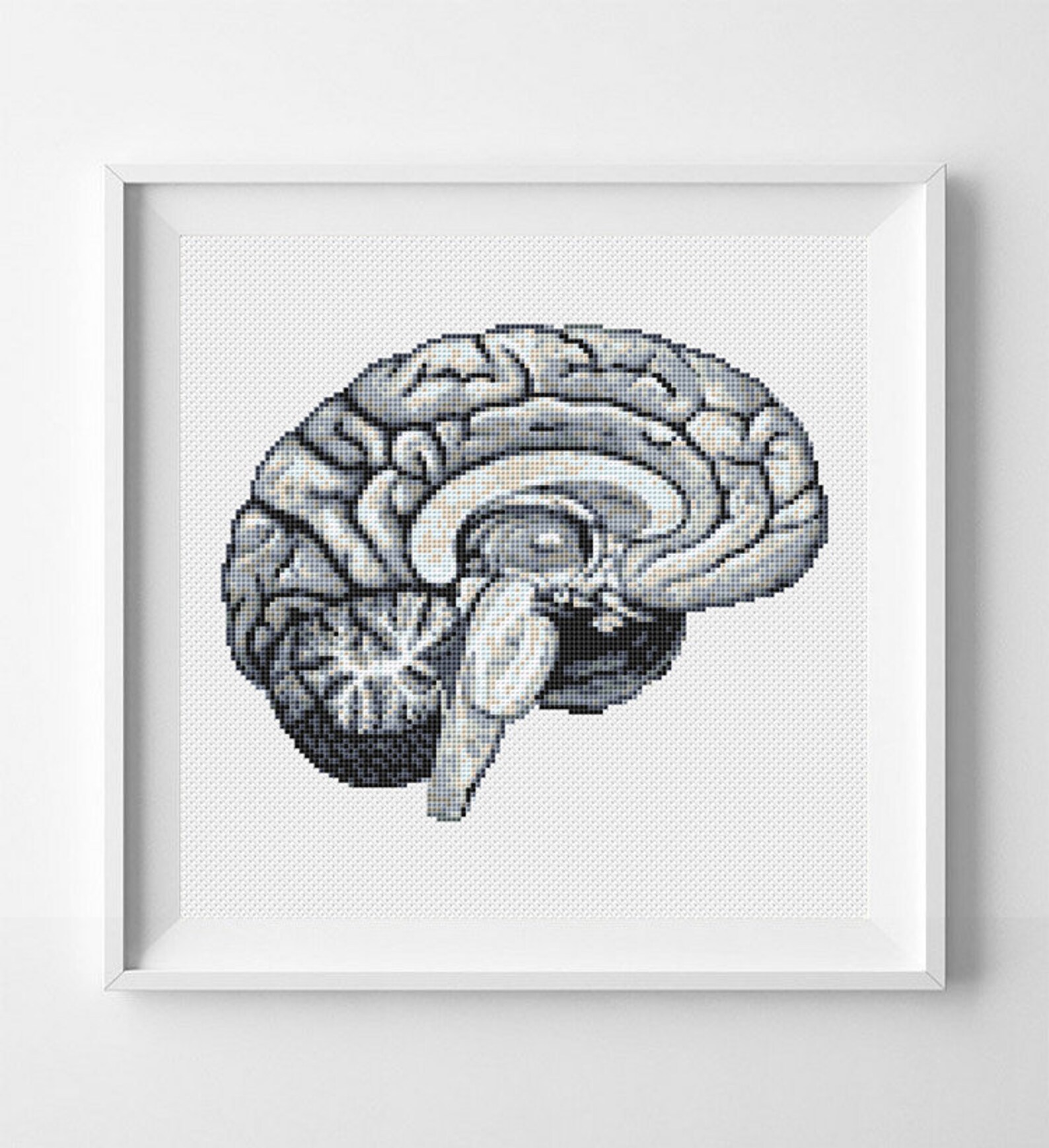 Modern Cross Stitch Pattern PDF Anatomy Human Brain Cross - Etsy