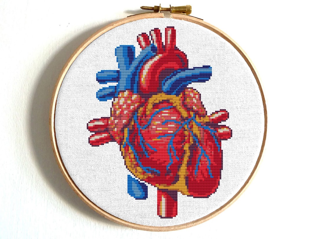 Anatomical Heart Cross Stitch Pattern, Human Heart Embroidery, Anatomy ...
