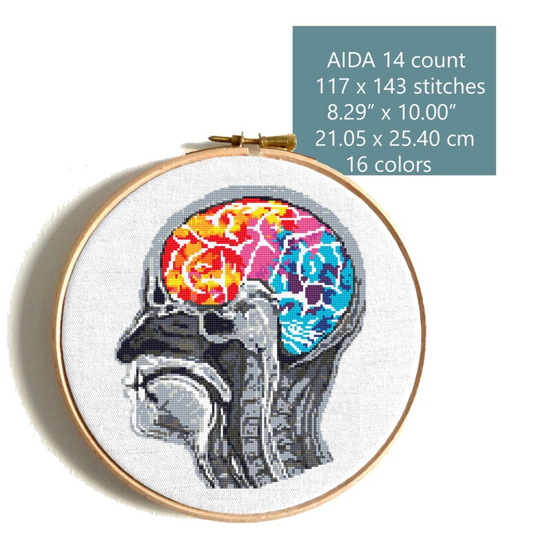 Brain Cross Stitch Pattern Anatomy Cross Stitch Human Anatomy - Etsy