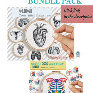 Embryo Cross Stitch Pattern Anatomy Cross Stitch Female Reproductive ...