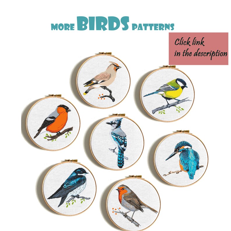 Small Bird Cross Stitch Pattern Bundle Robin Bird - Etsy