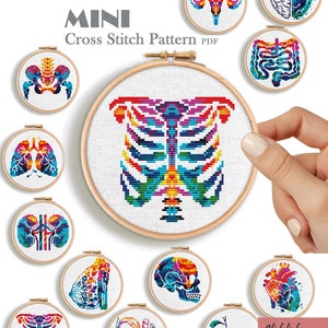 Pregnant Female Cross Stitch Pattern Anatomy Uterus Cross Stitch Fetus ...