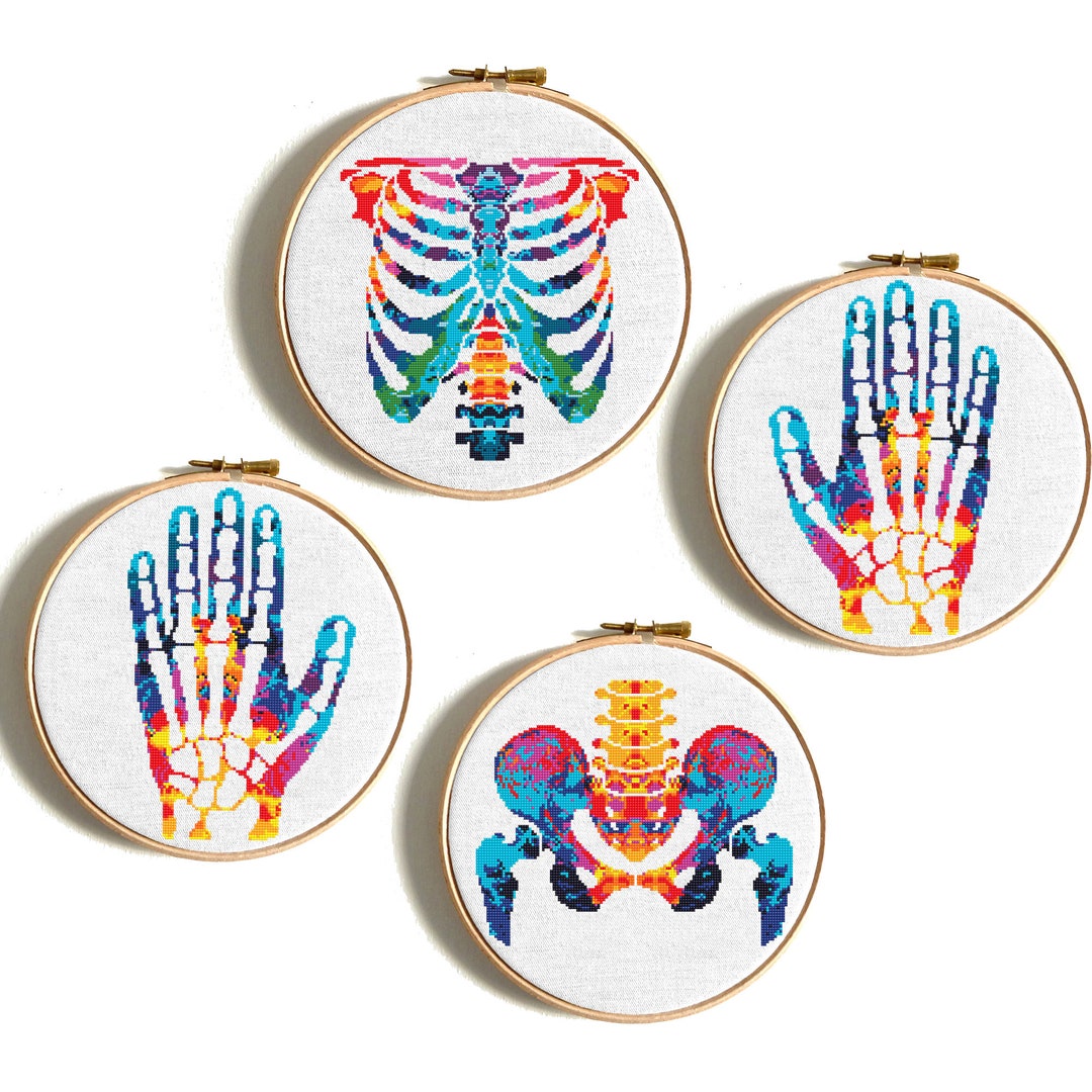 Anatomy Cross Stitch Pattern Hip Hand and Ribs Cross Stitch Instant ...