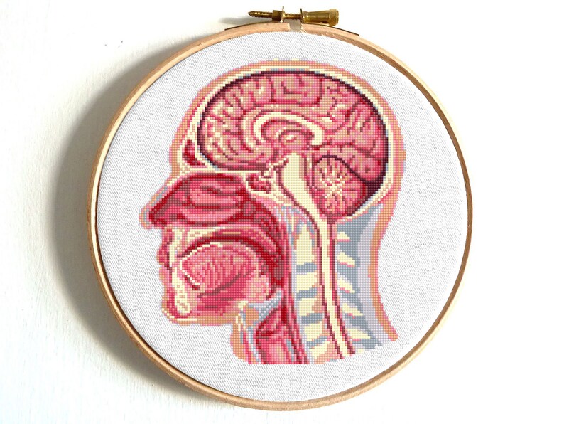 Brain Cross Stitch Pattern Human Anatomy Brain Cross Stitch | Etsy