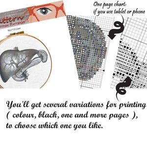 Liver Cross Stitch Pattern, Human Anatomy Counted Cross Stitch Chart ...