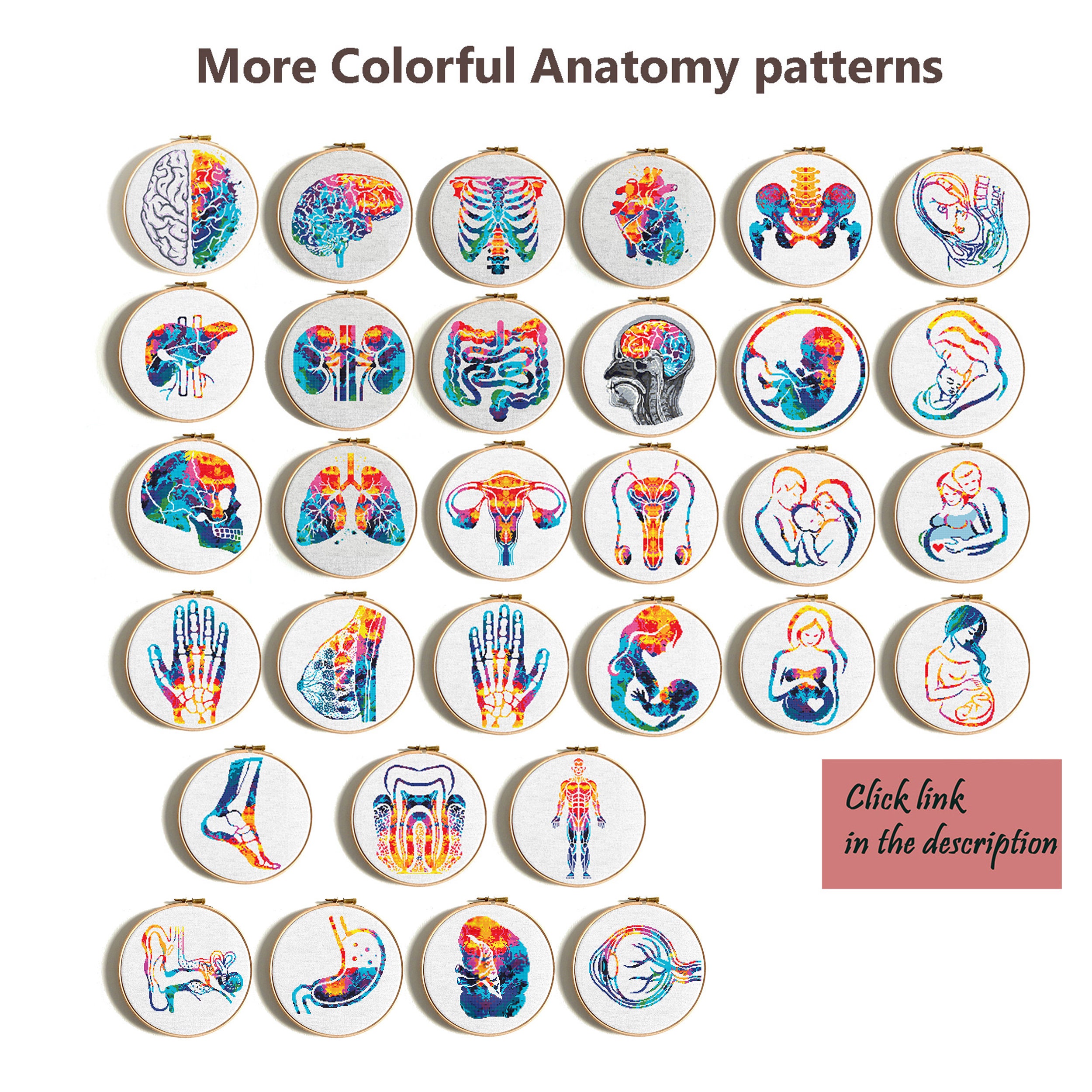 Kidney Mini Cross Stitch Pattern Anatomy Cross Stitch Human | Etsy