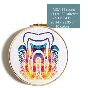 Anatomy cross stitch pattern Human teeth anatomical tooth | Etsy