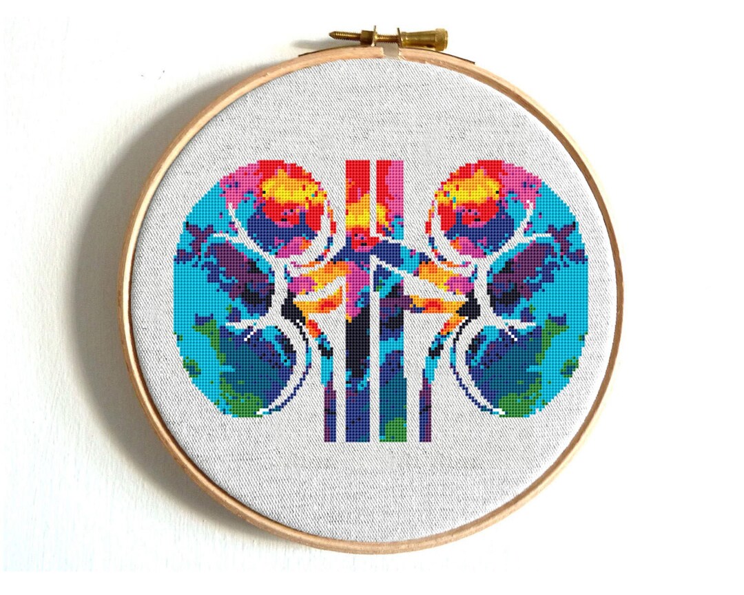Kidney Anatomy Cross Stitch Pattern: Funny Human Body Embroidery ...