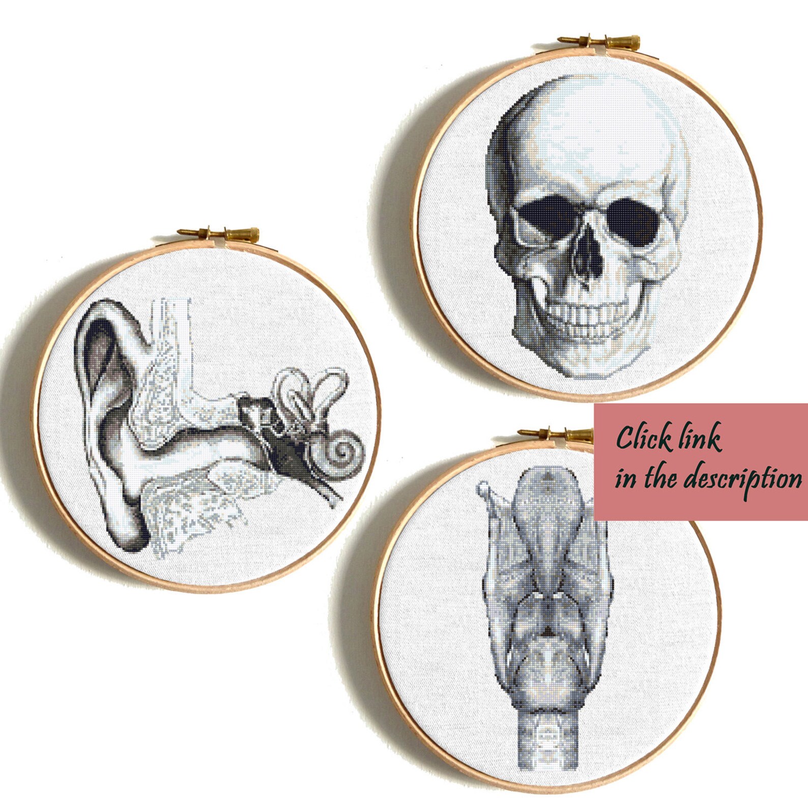 Ear Anatomy Modern Cross Stitch Pattern Monochrome Anatomy of - Etsy