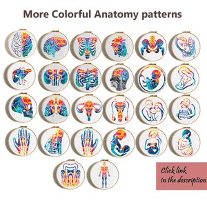 Uterus Cross Stitch Pattern Anatomy Cross Stitch Human Anatomical Body ...