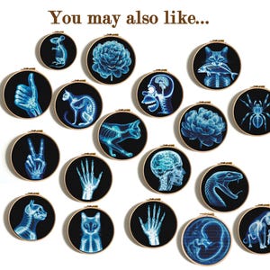 Funny Spider X-ray Cross Stitch Pattern, Spooky, Scary, Terrifying and ...