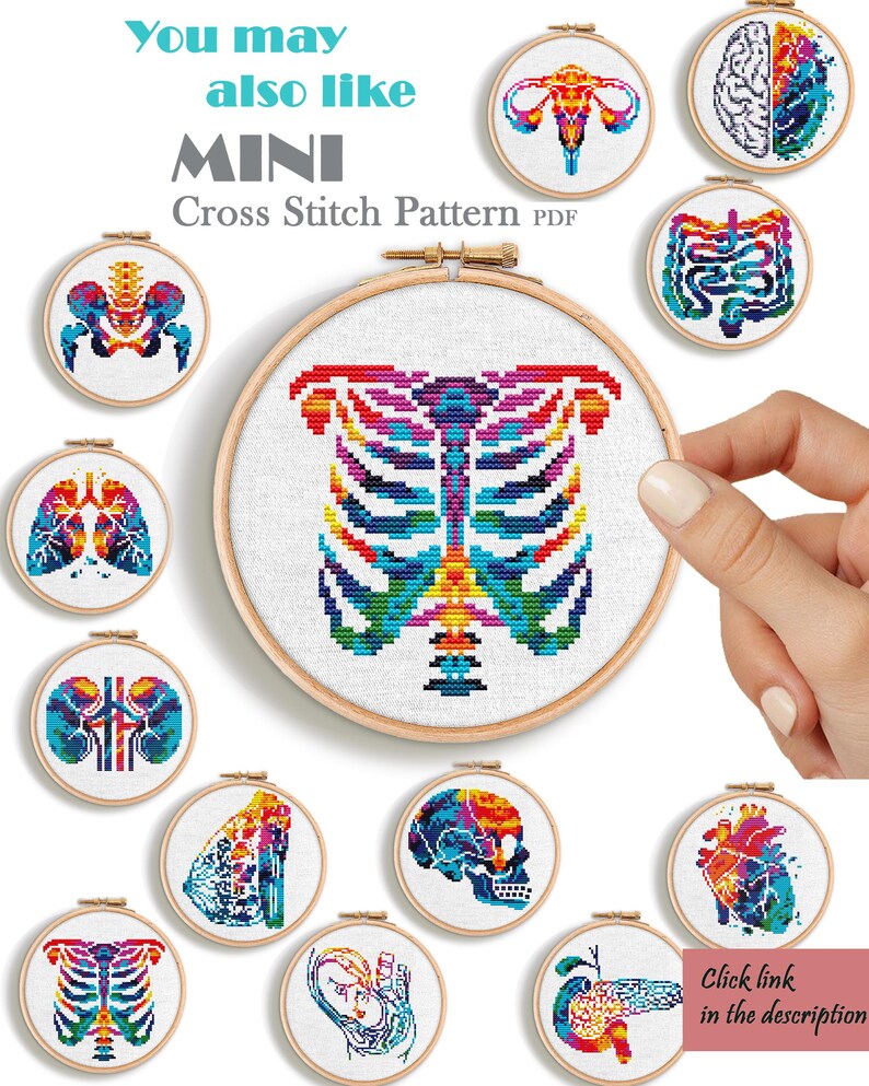 Mini Anatomy Cross Stitch Pattern, Human Liver, Human Organ Hand ...