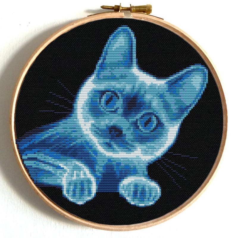 Xray in Cross Stitch - Etsy