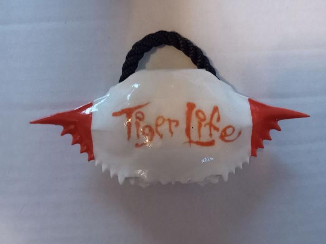 Hand Painted With Tiger Life Decal Logo Crab Shell Ornament - Etsy