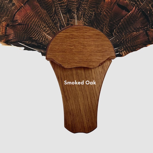 Turkey Tail and Wing Mount - Etsy