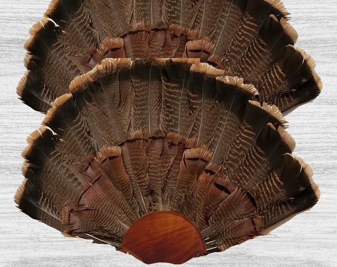 Photo Frame Memory Double Turkey-fan Display for for 2 Fans, Beards ...