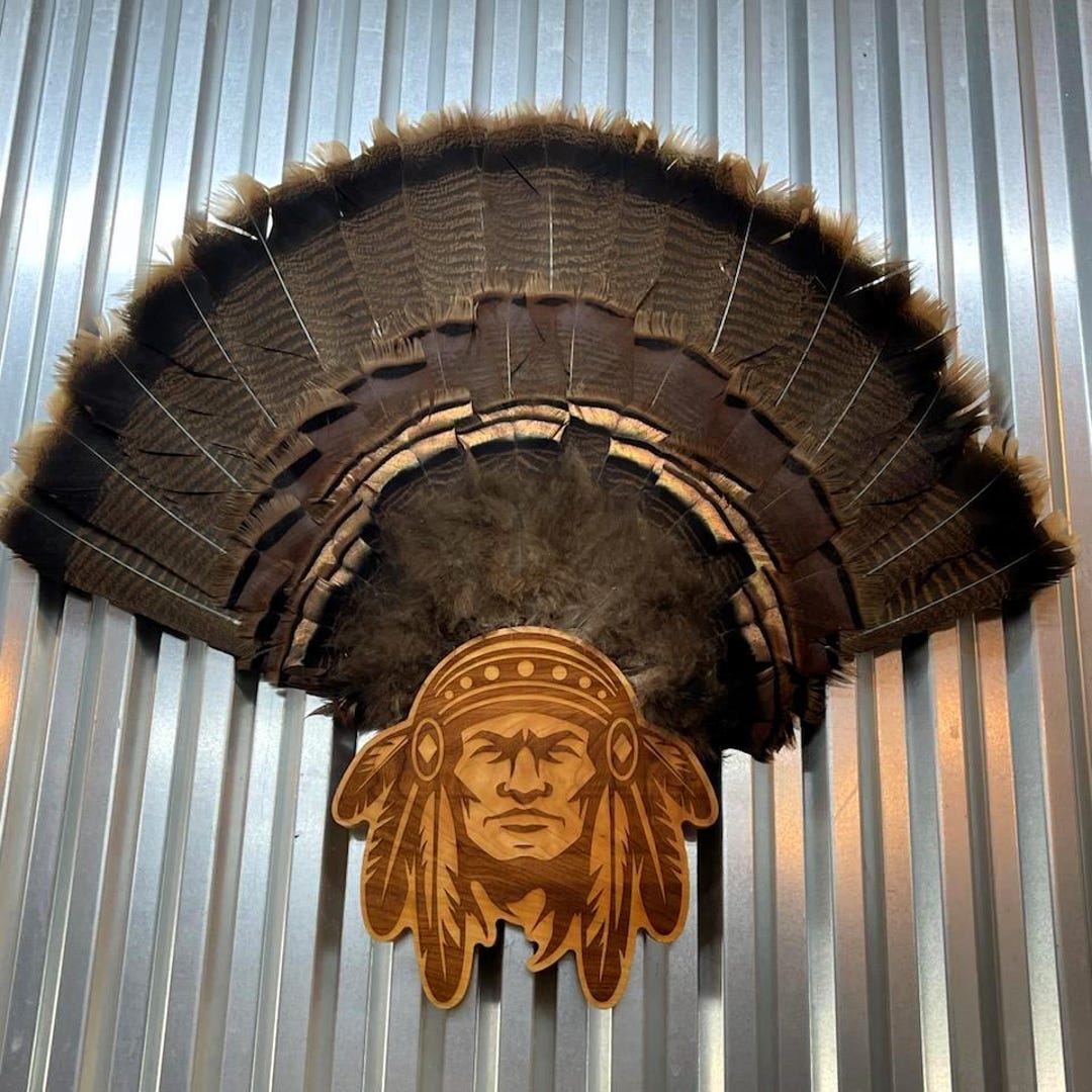 Turkey Tail Mount, Indian Head - Etsy