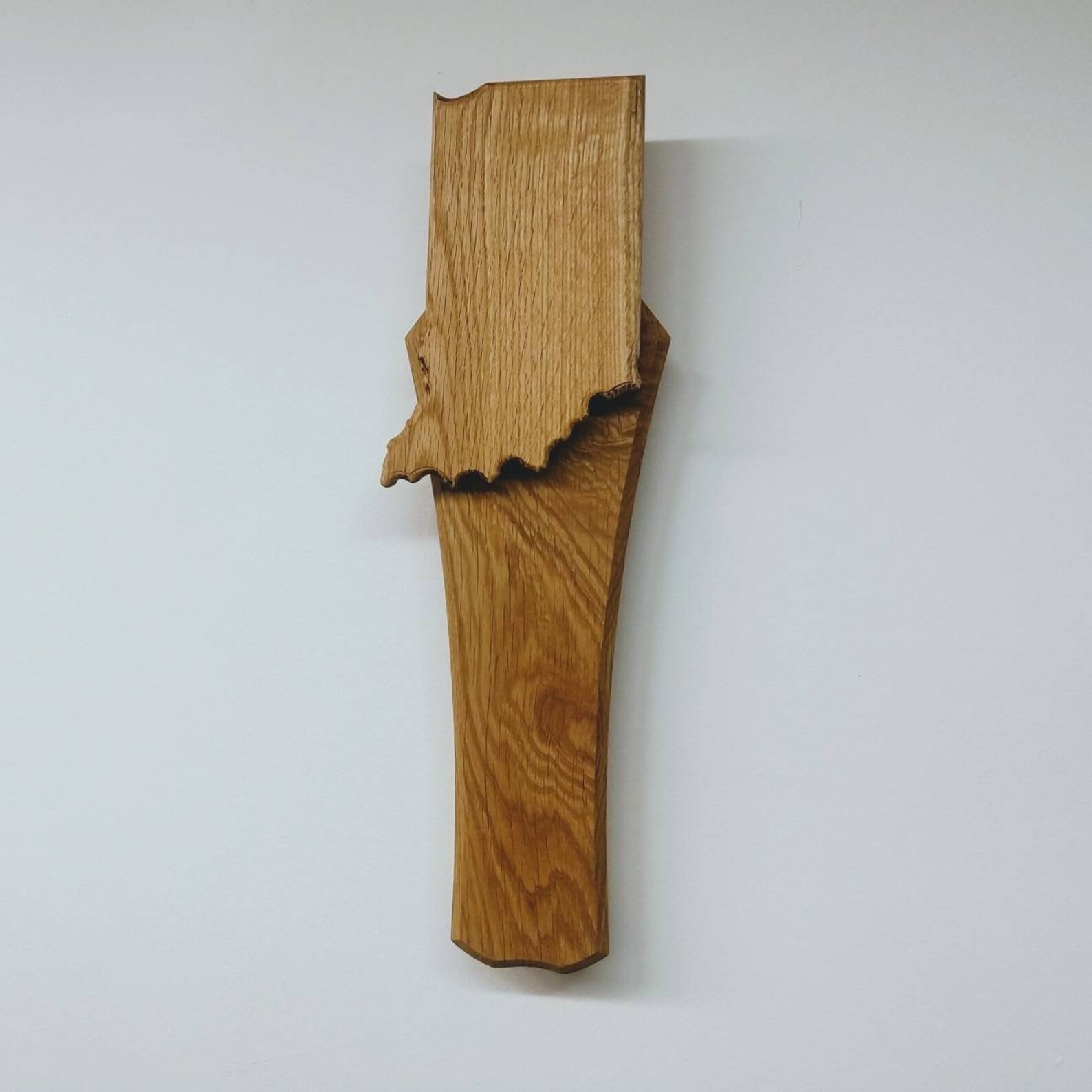 State Shaped Turkey Tail/wing Mount - Etsy