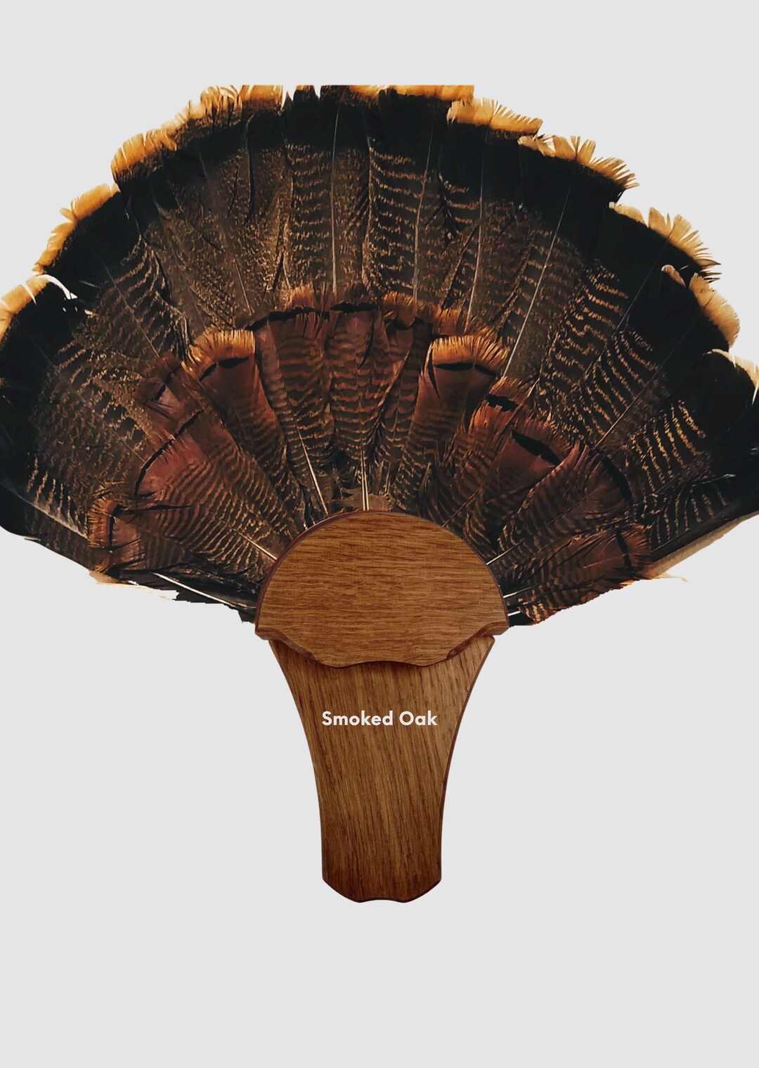 Turkey Tail Mount - Etsy