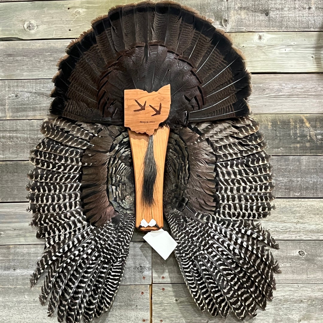 State Shaped Turkey Tail/wing Mount - Etsy
