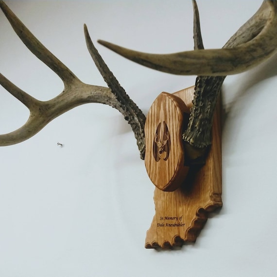 Mounting deer antlers store