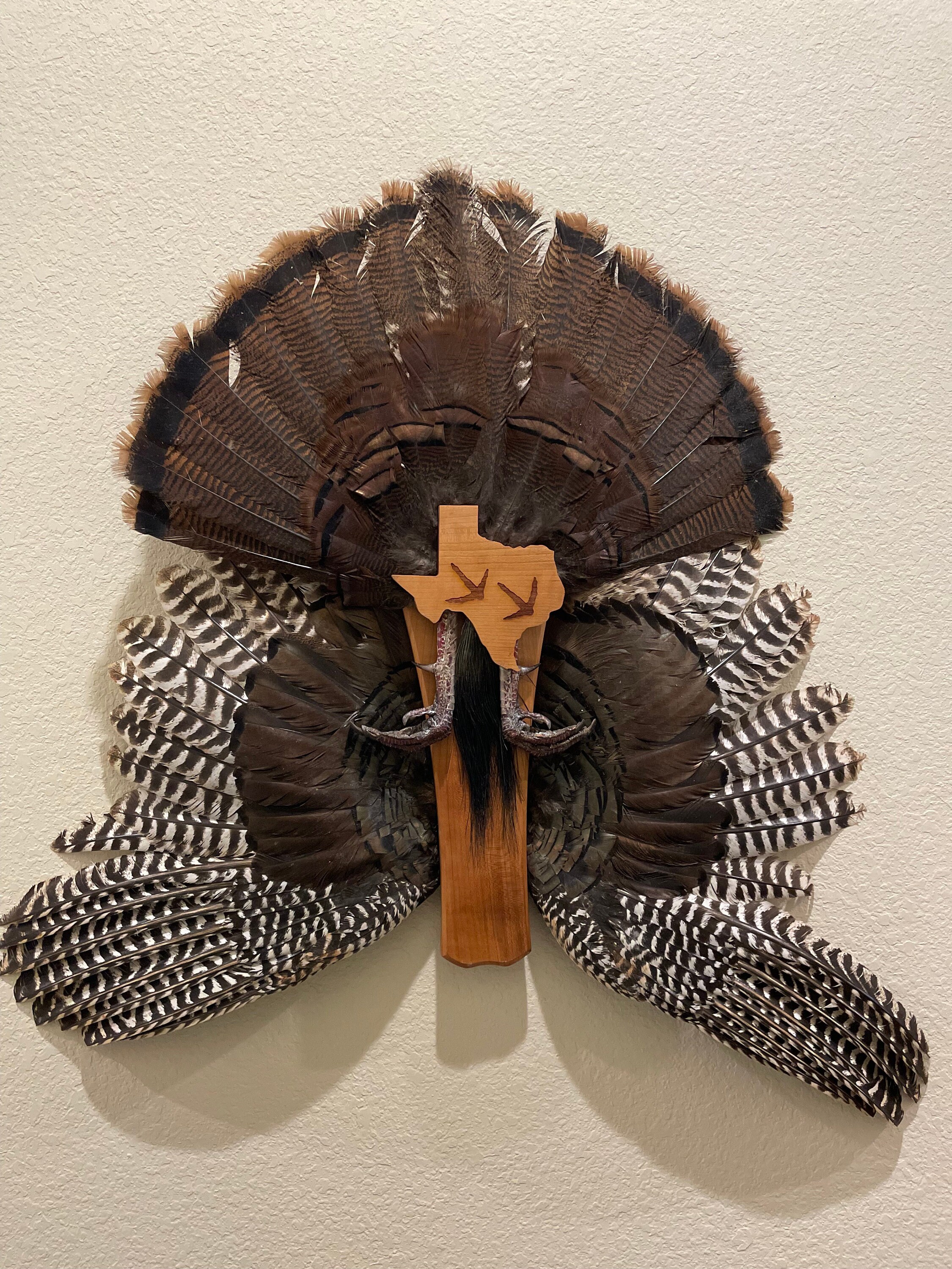 State Shaped Turkey Tail/wing Mount - Etsy