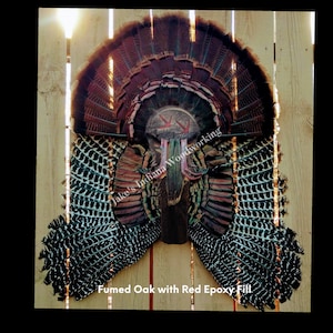 Turkey Tail/wing Mount. - Etsy