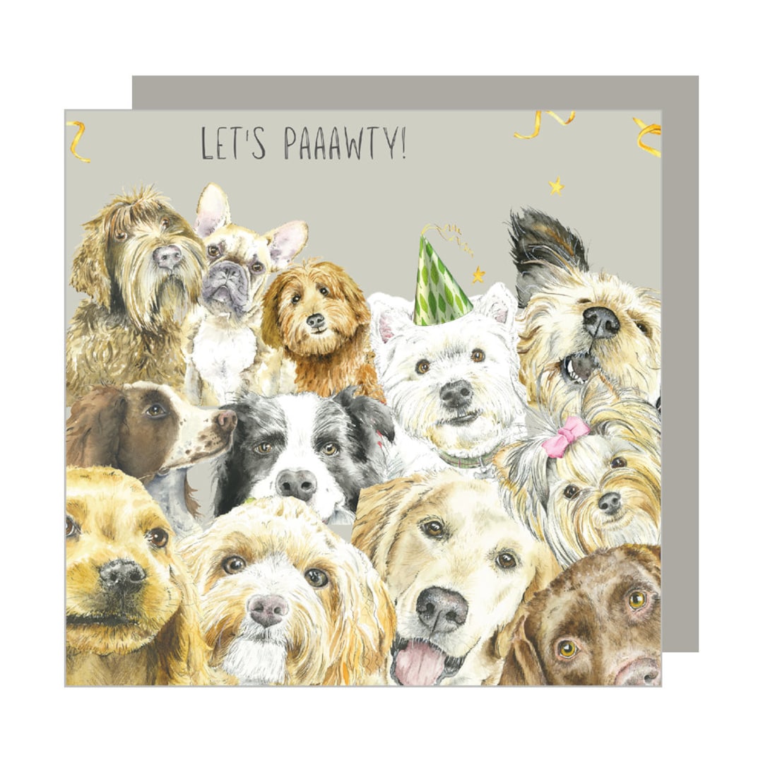 Let's Pawty Colourful Wishes Card - Etsy