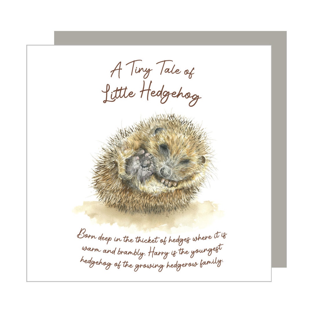 Cute Hedgehog Card Heggie Lover Gift Hedgehog Painting Animal Story ...