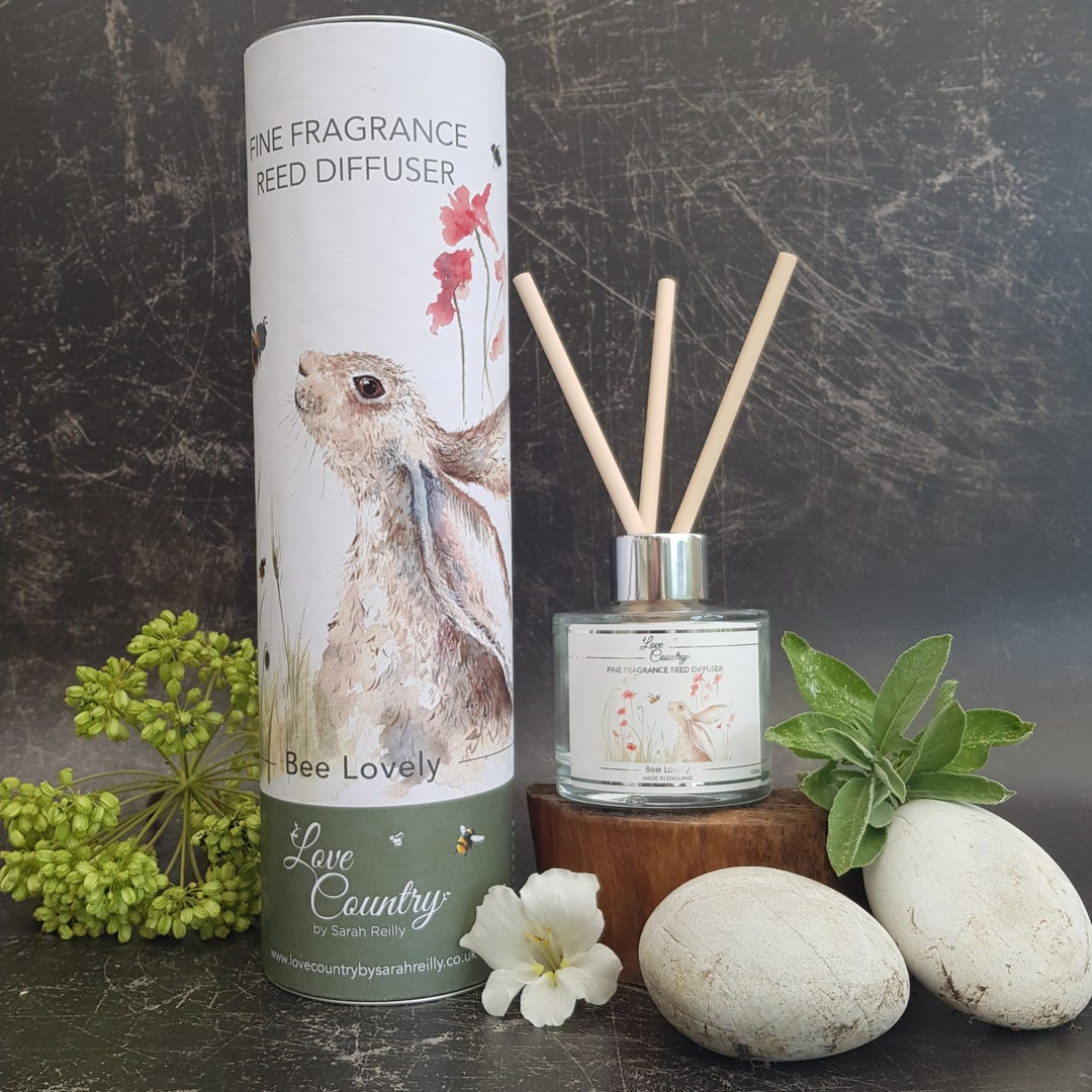 Sea Salt & Driftwood Luxury Fragrance Room Diffuser Vegan Room ...