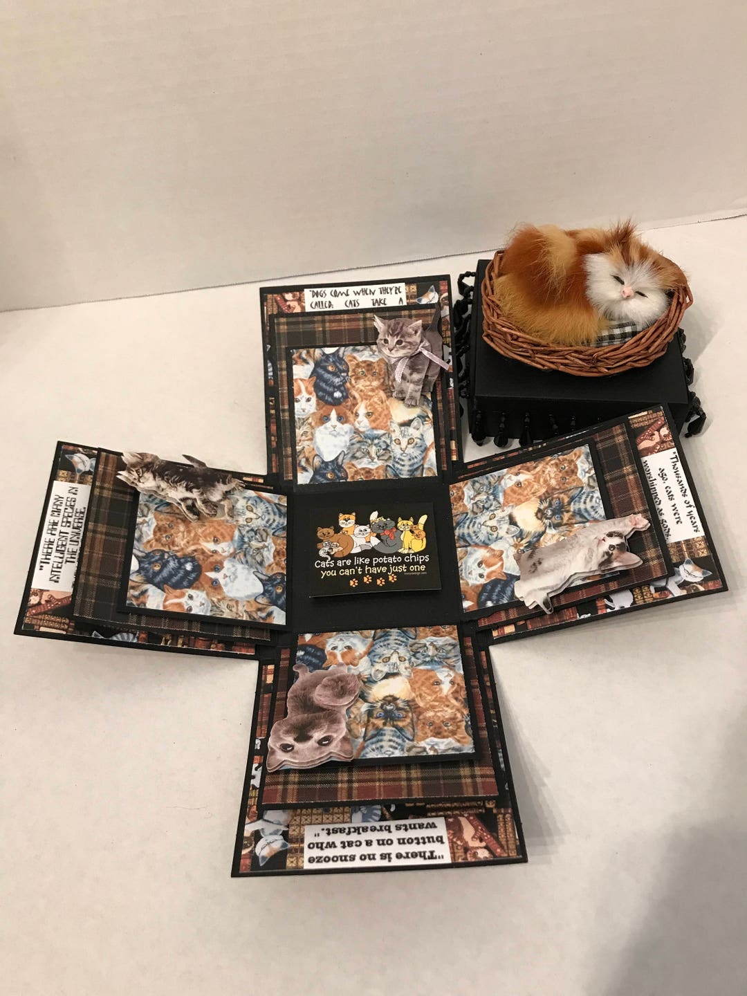 Sleepy Furry Cat Memory Scrapbox - Etsy