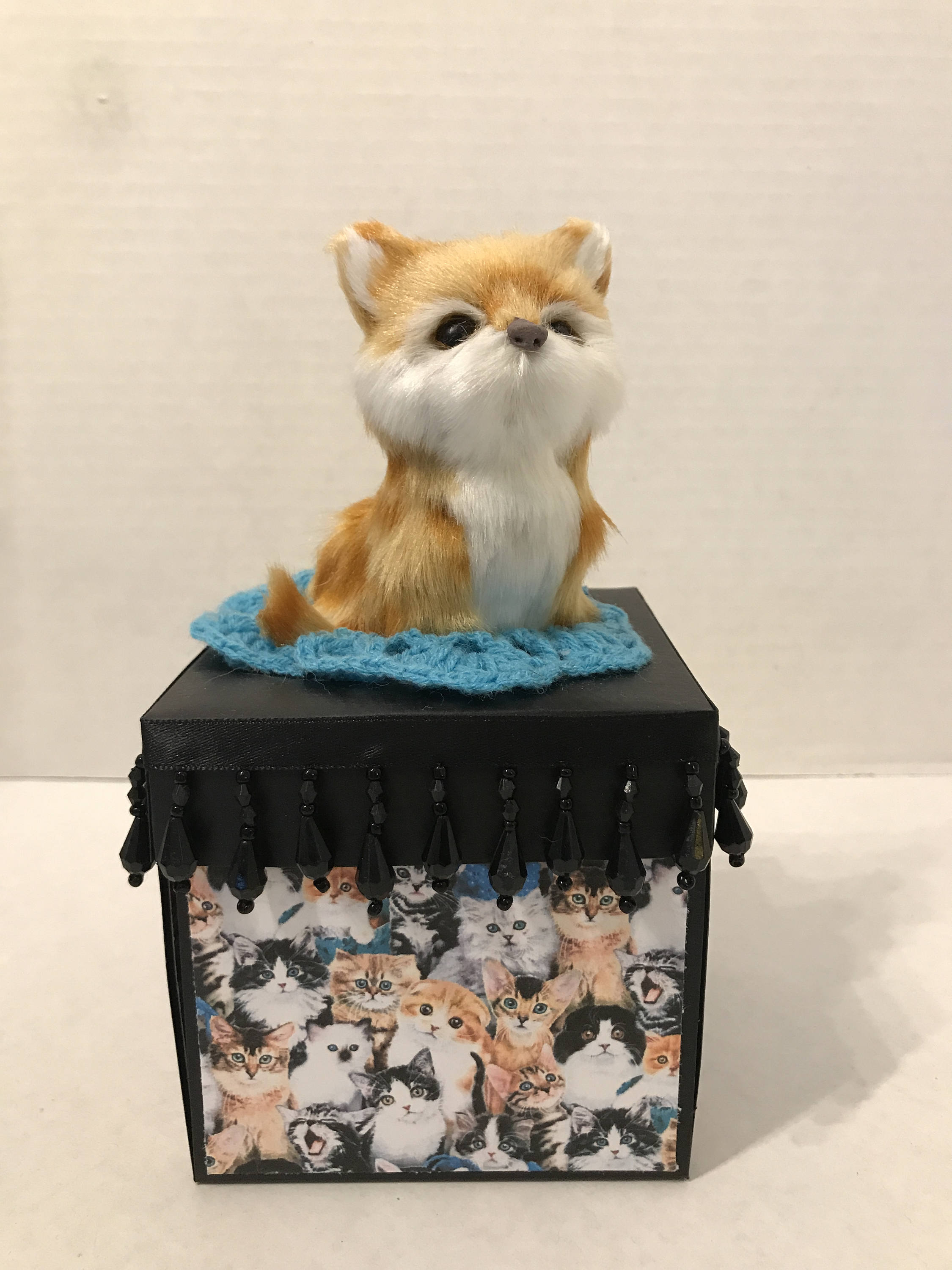Buy Furry Orange Cat Memory Scrapbox Online in India - Etsy